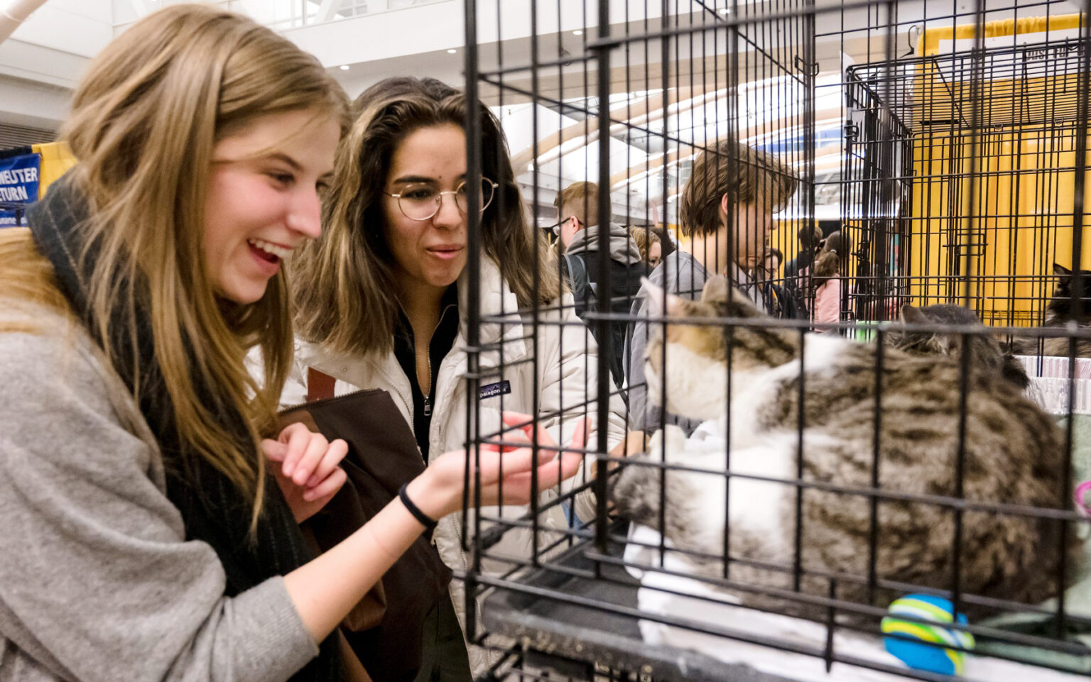 Pittsburgh Pet Expo - November 7-9, 2025 | The Largest Pet Expo in the ...